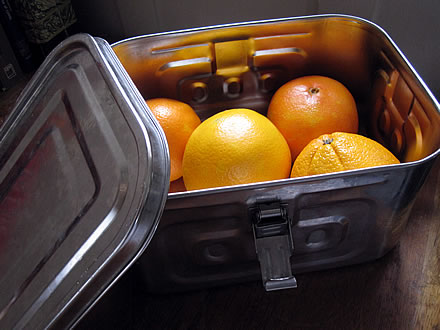 Life-without-plastic-airtight-stainless-container-03 | My Plastic-Free Life