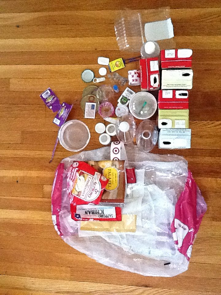 Valerie-Plastic-Trash-Week-3 | My Plastic-Free Life