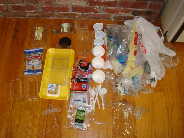 Corinne-and-Nils-Plastic-Trash-Week-1 | My Plastic-Free Life