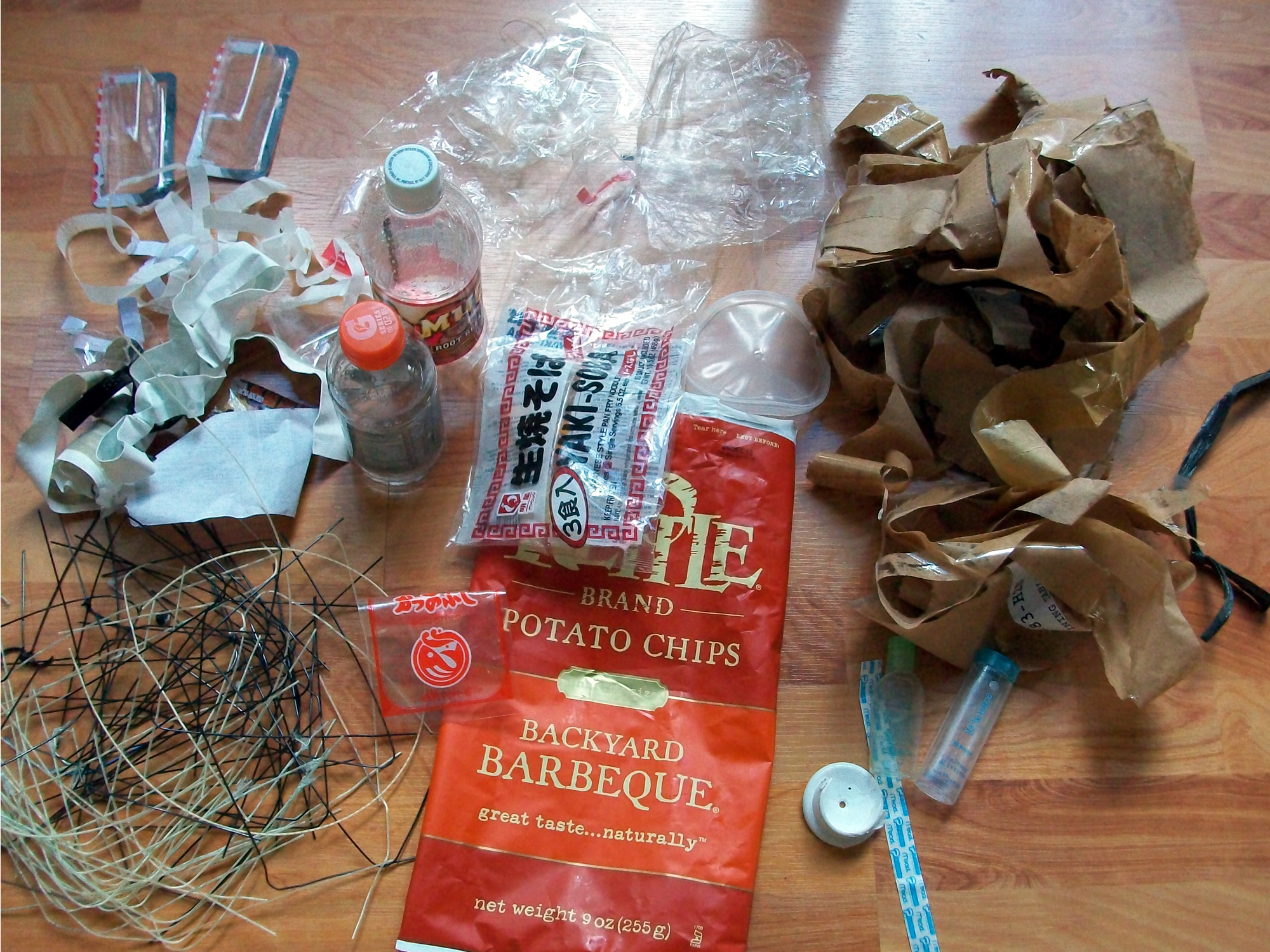 Kiyomi-Plastic-Trash-Week-2 | My Plastic-Free Life